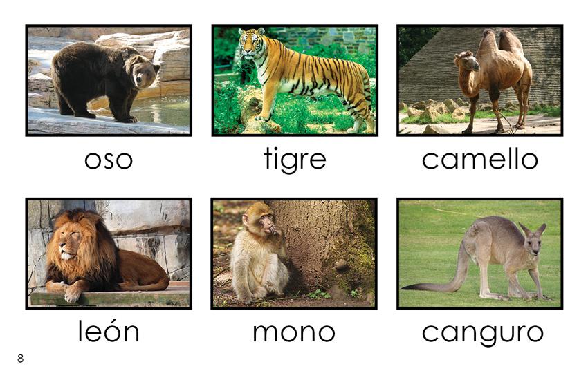 Los Animales Del Zoologico