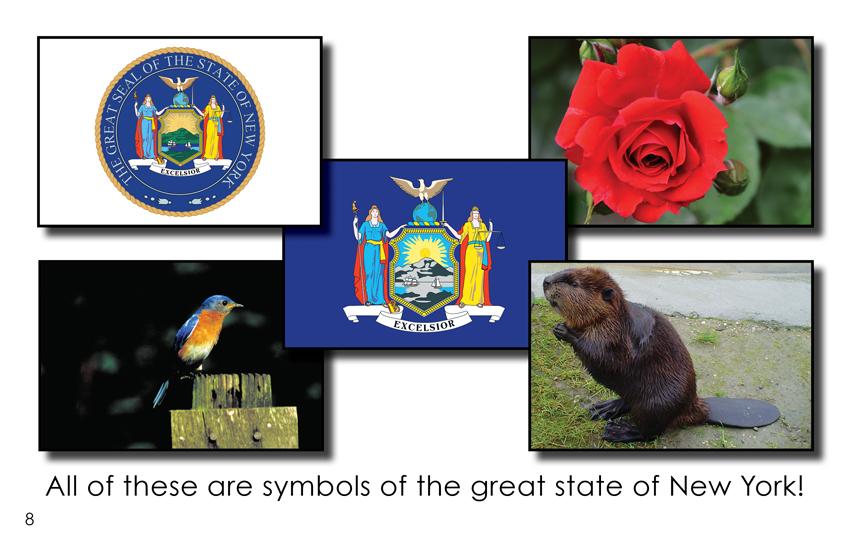 New York State Symbols