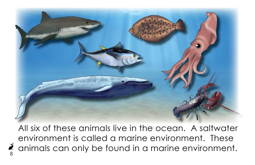 Animals That Live in a Marine Environment: wilbooks.com